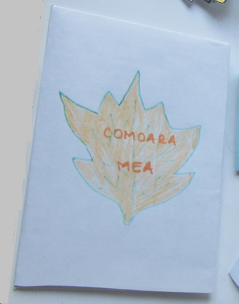 proParinti: Cum sa faci un plic rapid pentru caiet sau portofoliu pliabil?