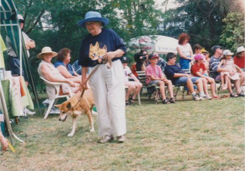 Dingo Lady: SHEILA – Berenice’s Constant Companion