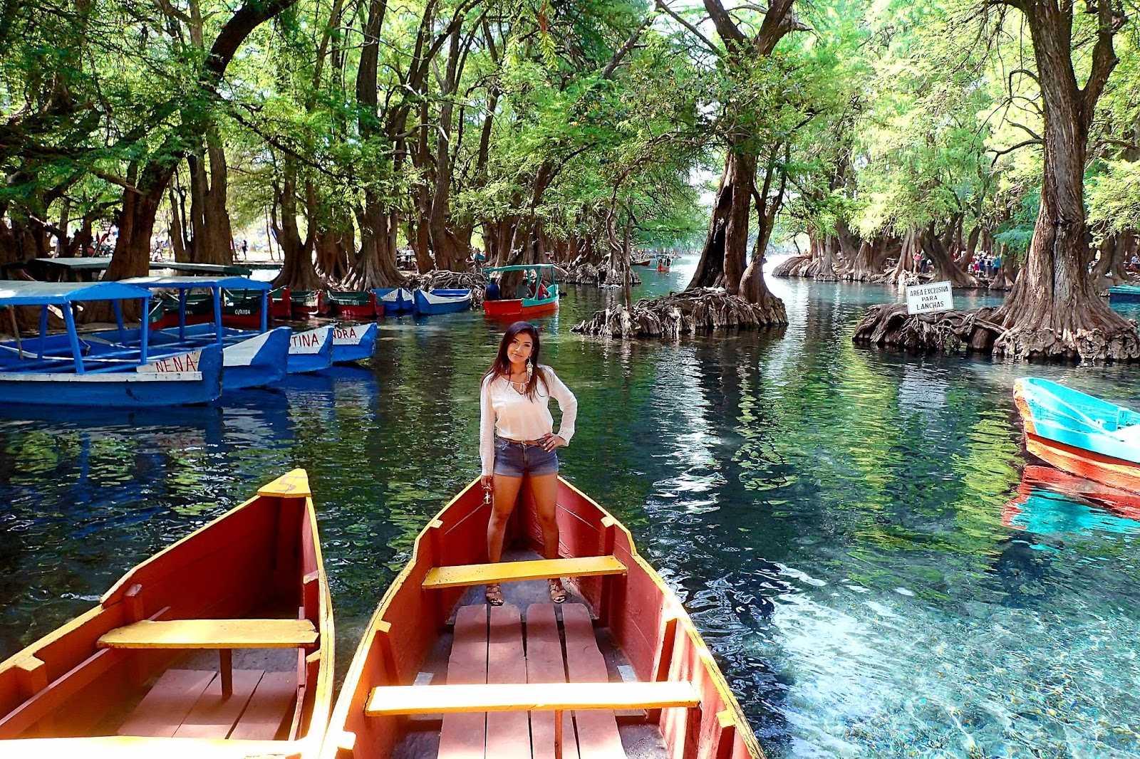 .camecuaro. - iamperlita