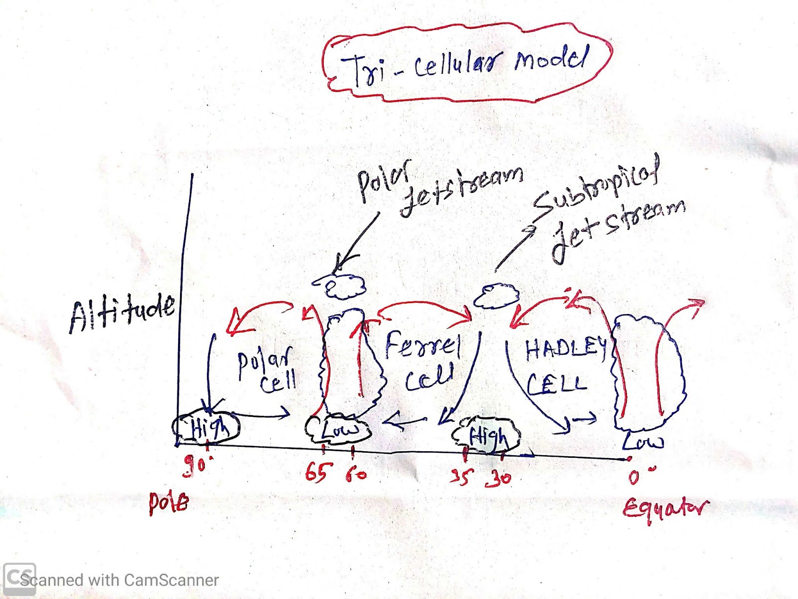 Discuss in detail the Tri-cellular Model of Atmospheric Circulation ...
