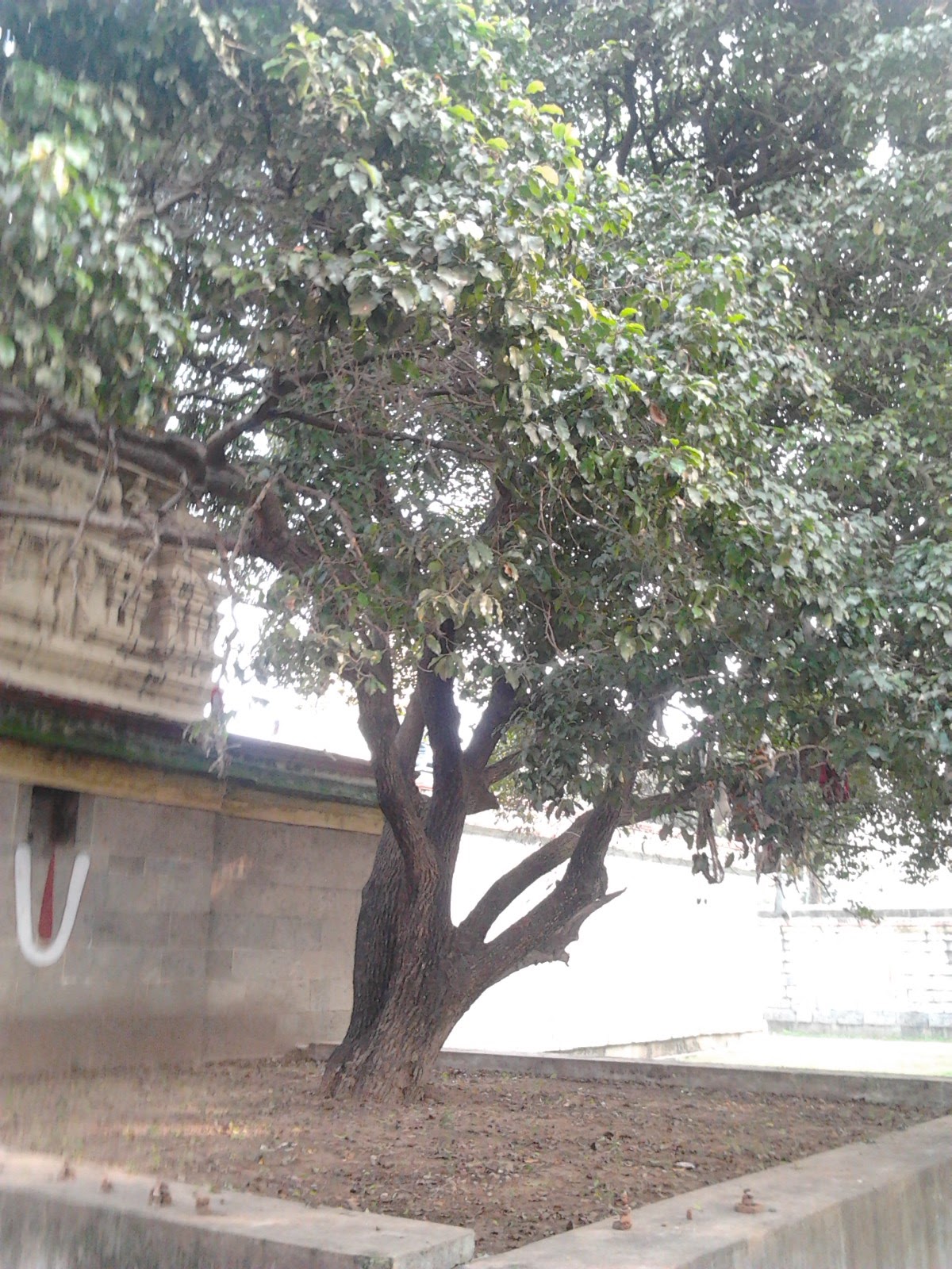 Jam's Chronicle: A family trip to heritage temple sites