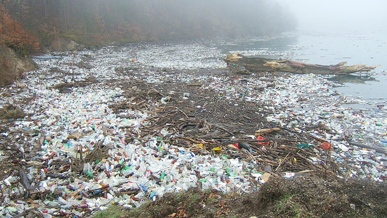 🌐 ȘTIRI-CĂLĂTOR PRIN LUMEA PLANETEI ALBASTRE: AVERTISMENT ! GUNOAIE și ...