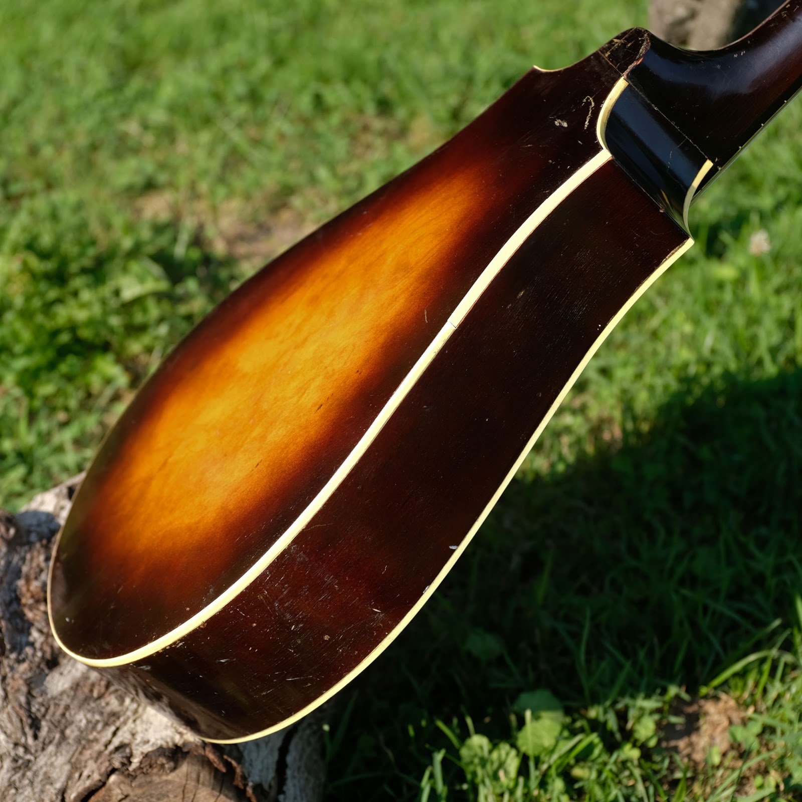 1930s Regal Octofone Octave Mandolin/8 String Tenor Guitar