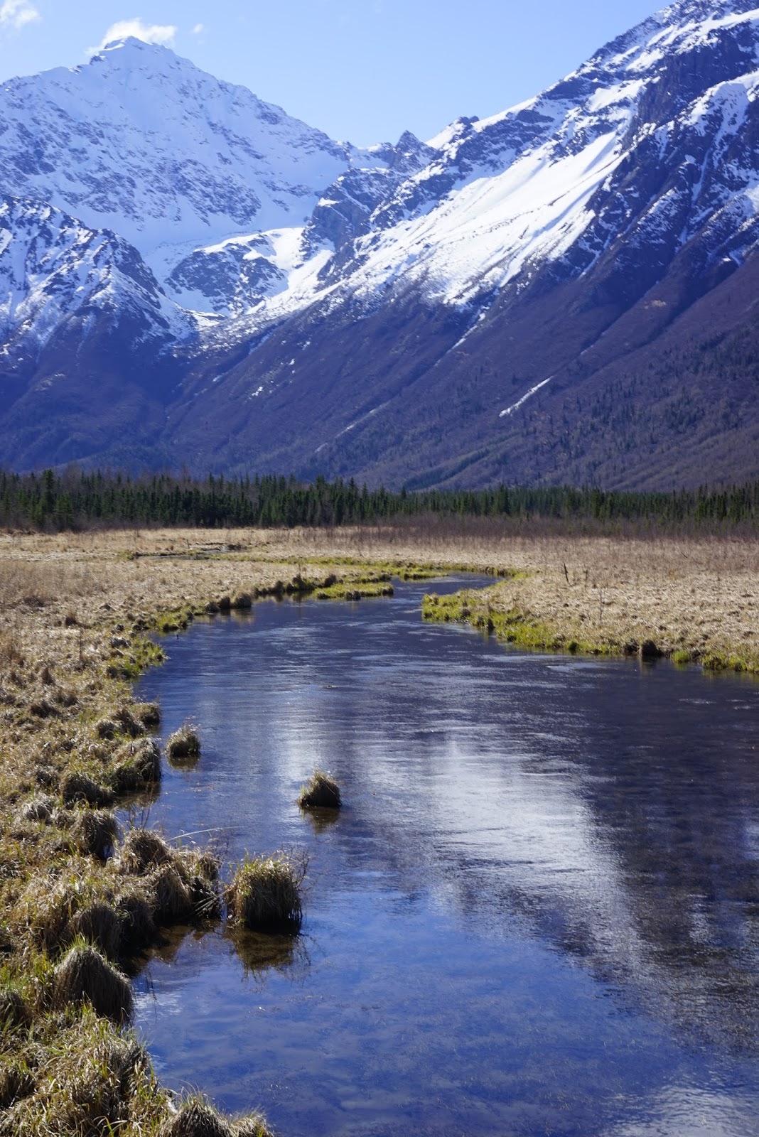 Lost But Loving It...In Alaska!: Spring at last