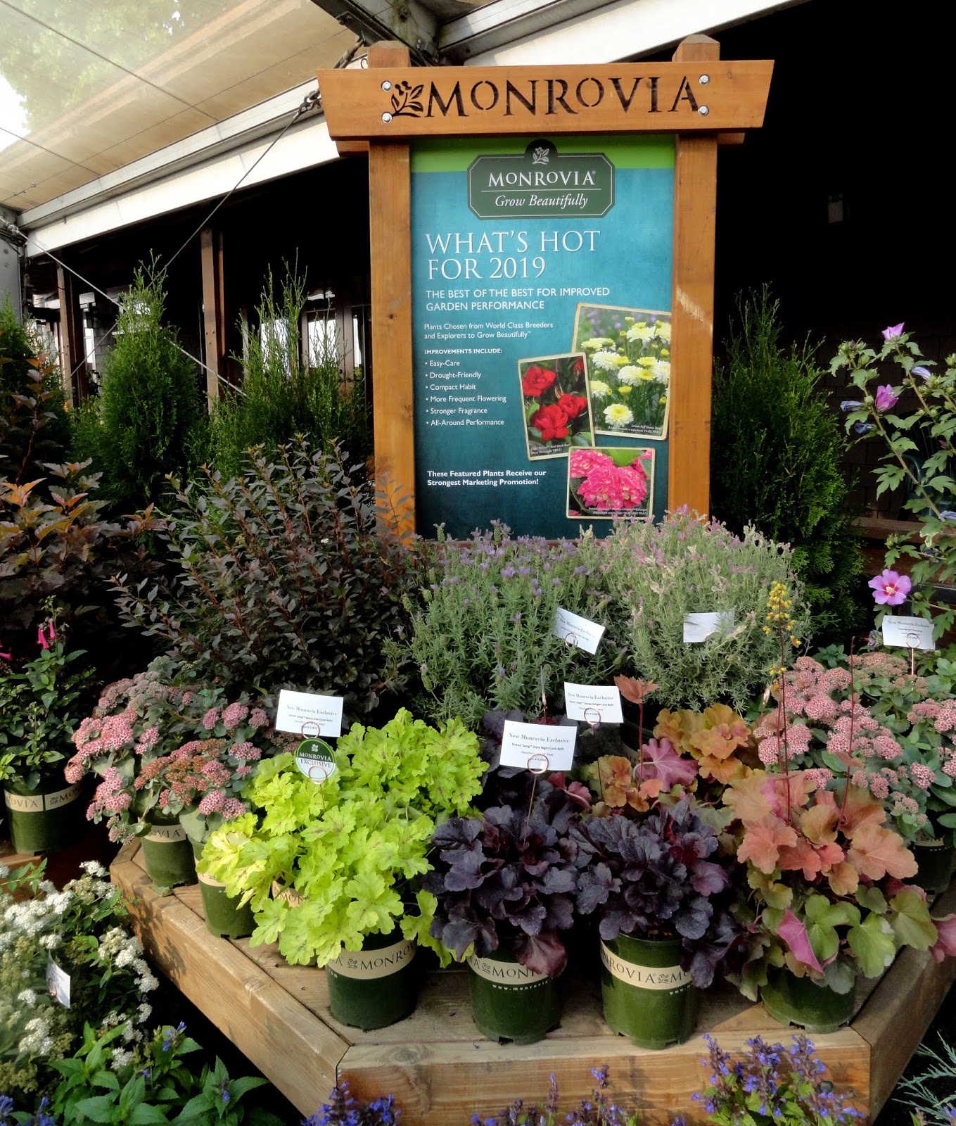 danger garden: A day at Monrovia...