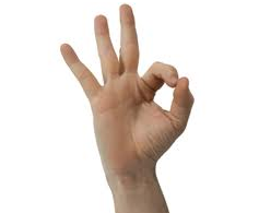 The Language Journal: The Silent Language of Gestures