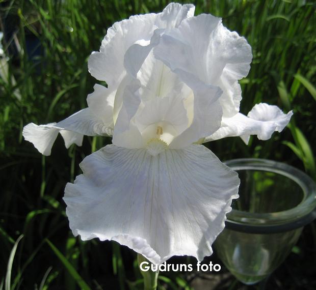 Gudruns Keramik: Tid att njuta