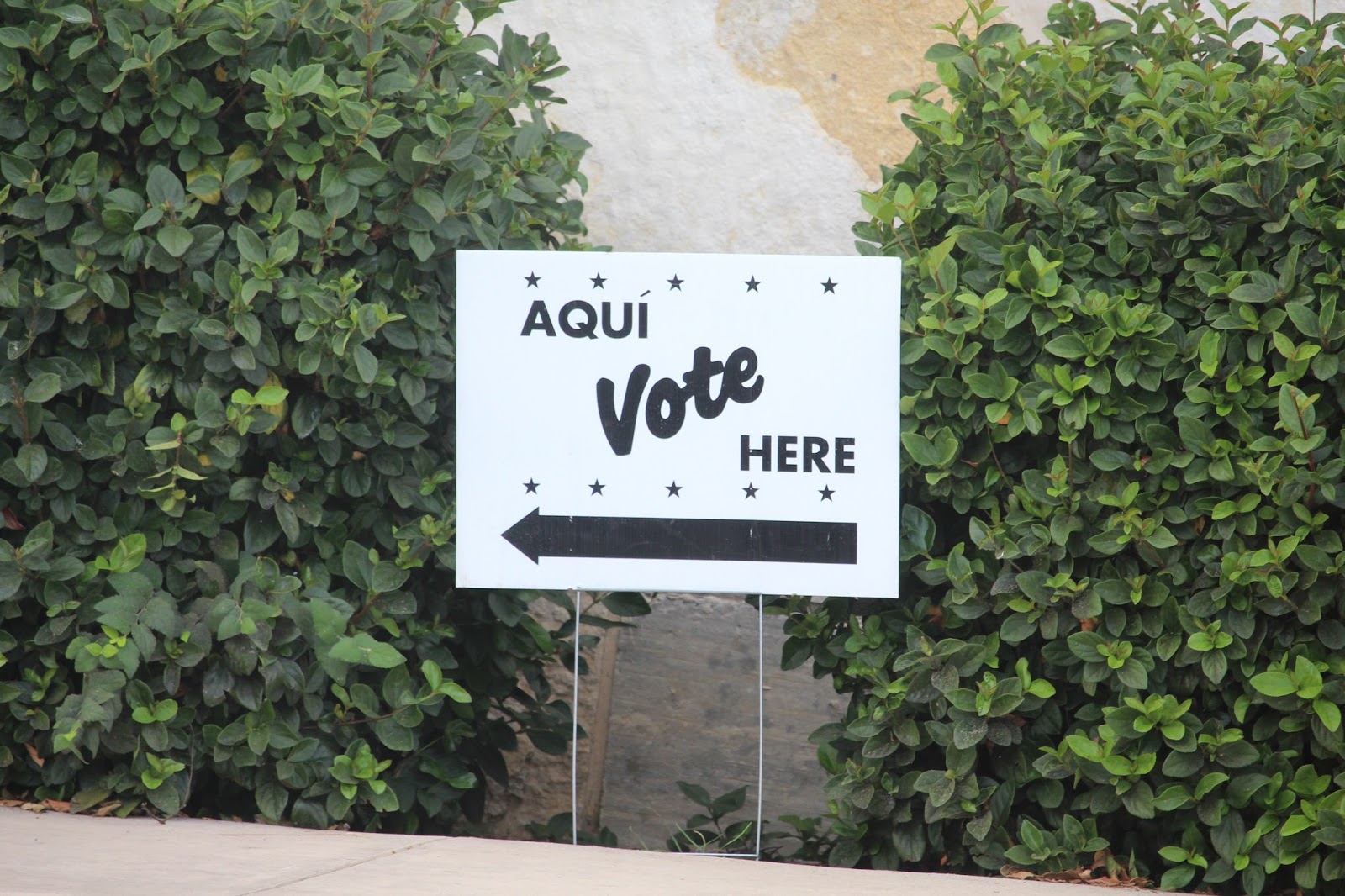 Walker Report - Shedding Light on Bexar County: Early Voting @ Great ...