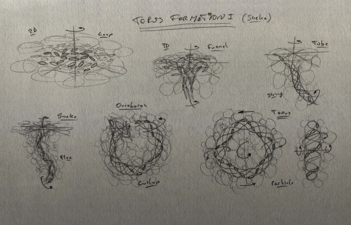 800 million: Torus Formation (Snake & Apple)