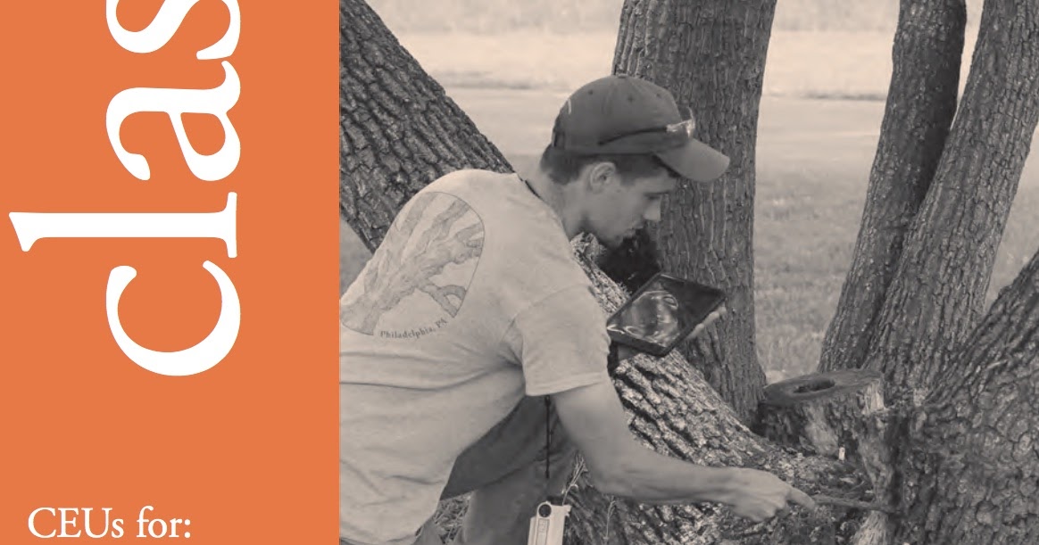 PA Environment Digest Blog: Morris Arboretum Tree Canopy Conference ...