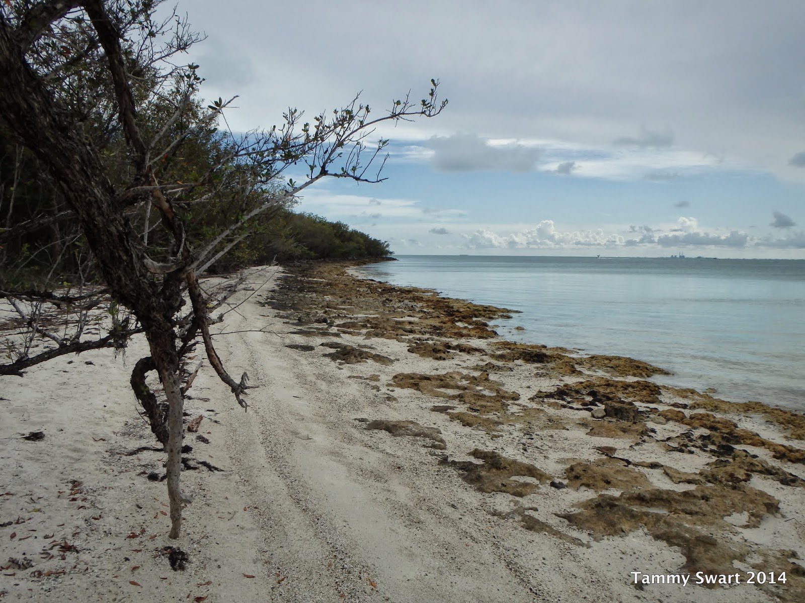 Things we did today...: Elliott Key