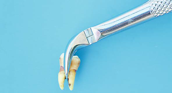 Dentistry and Medicine: Equipments, Instruments and Materials used in ...