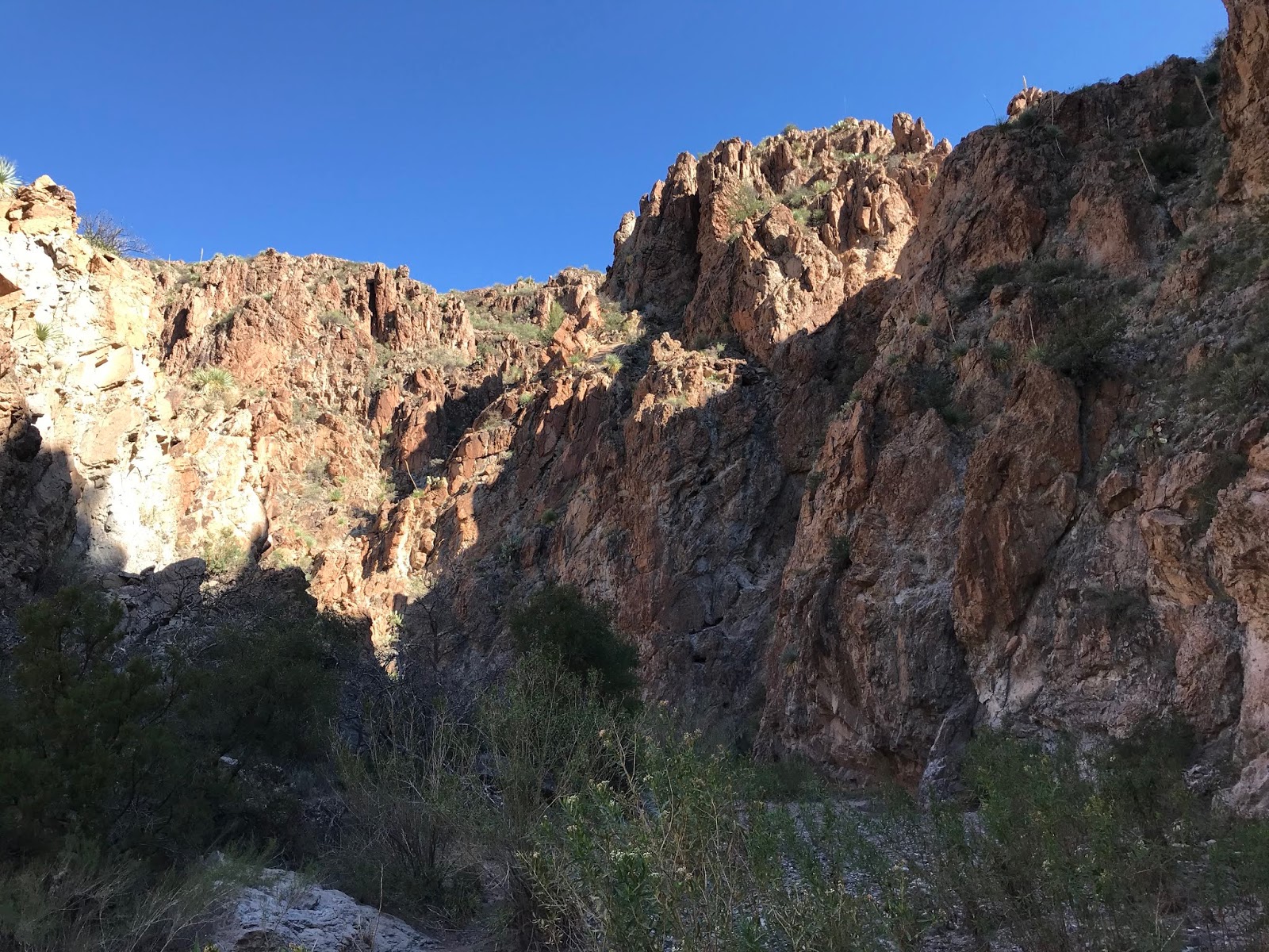 Southern New Mexico Explorer: North Fork Palomas Creek, lower box ...