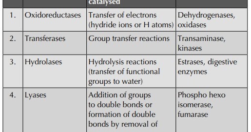 Enzyme : classification, mechanism , mode of action