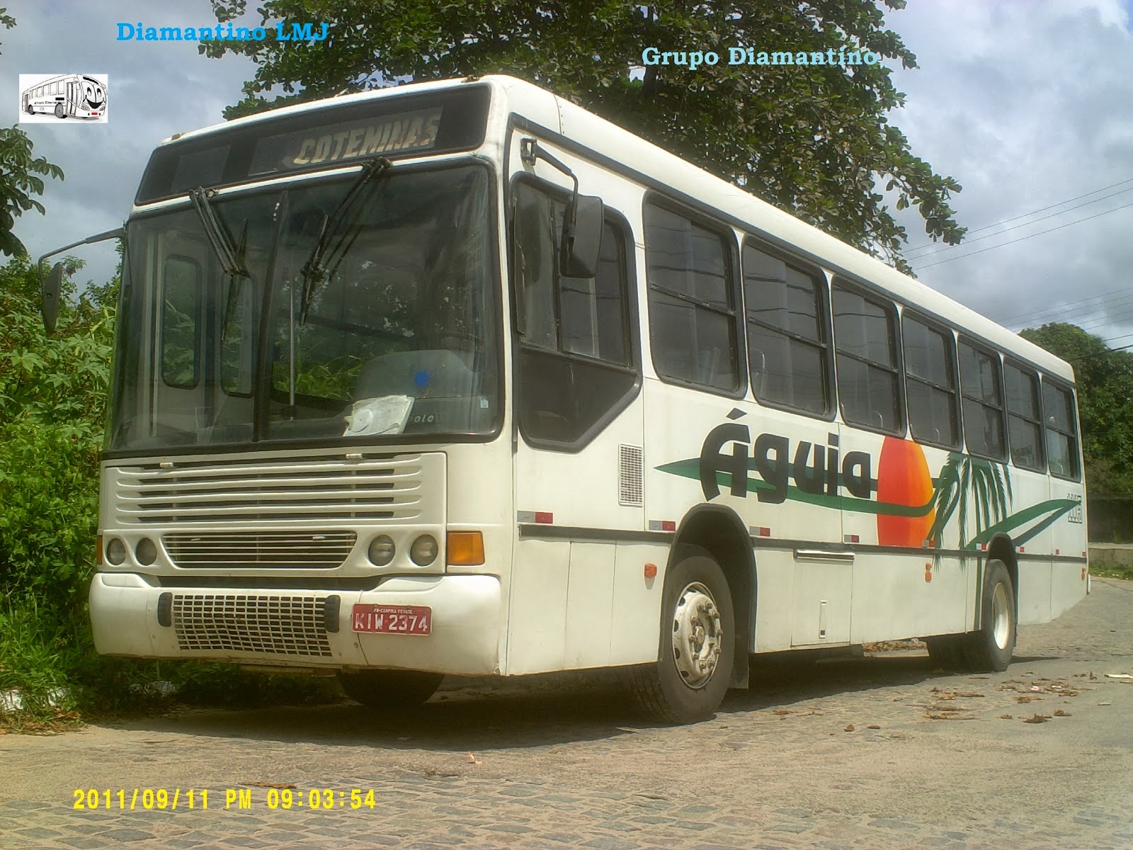 foto bus Brasil : foto de ônibus Marcopolo Torino gv