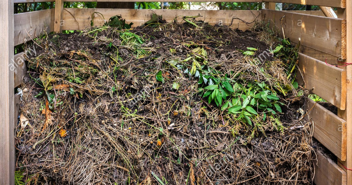 Waste management : What Is The Science Behind Composting?