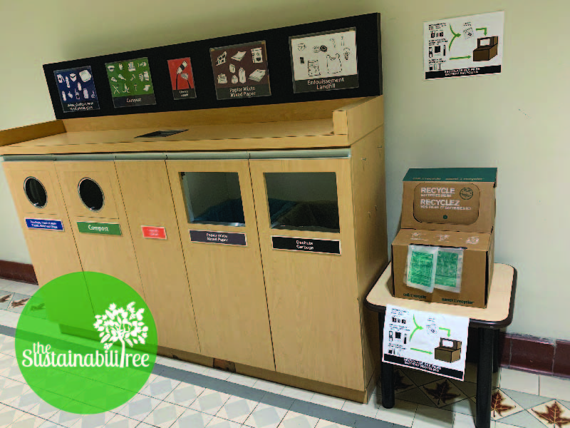 New Battery Recycling Boxes at uOttawa - The Sustainabilitree