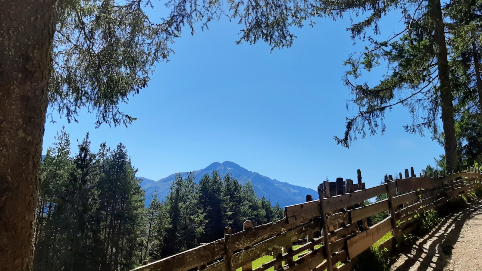 Natur Pur - aber nicht nur -Fotos aus der Heimat und mehr: Seefelder ...