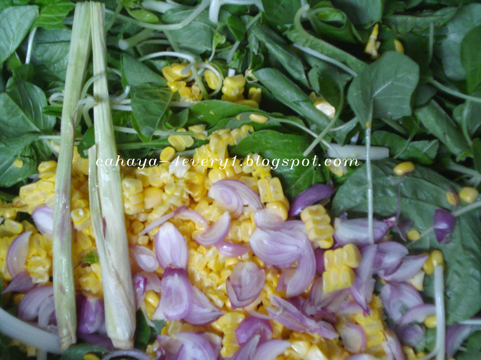 RUMAHKUBAHAGIAKU: Sayur bening bayam putih
