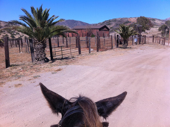 MuleTrail: Las Caballeras Airport in the Sky 9-29-11