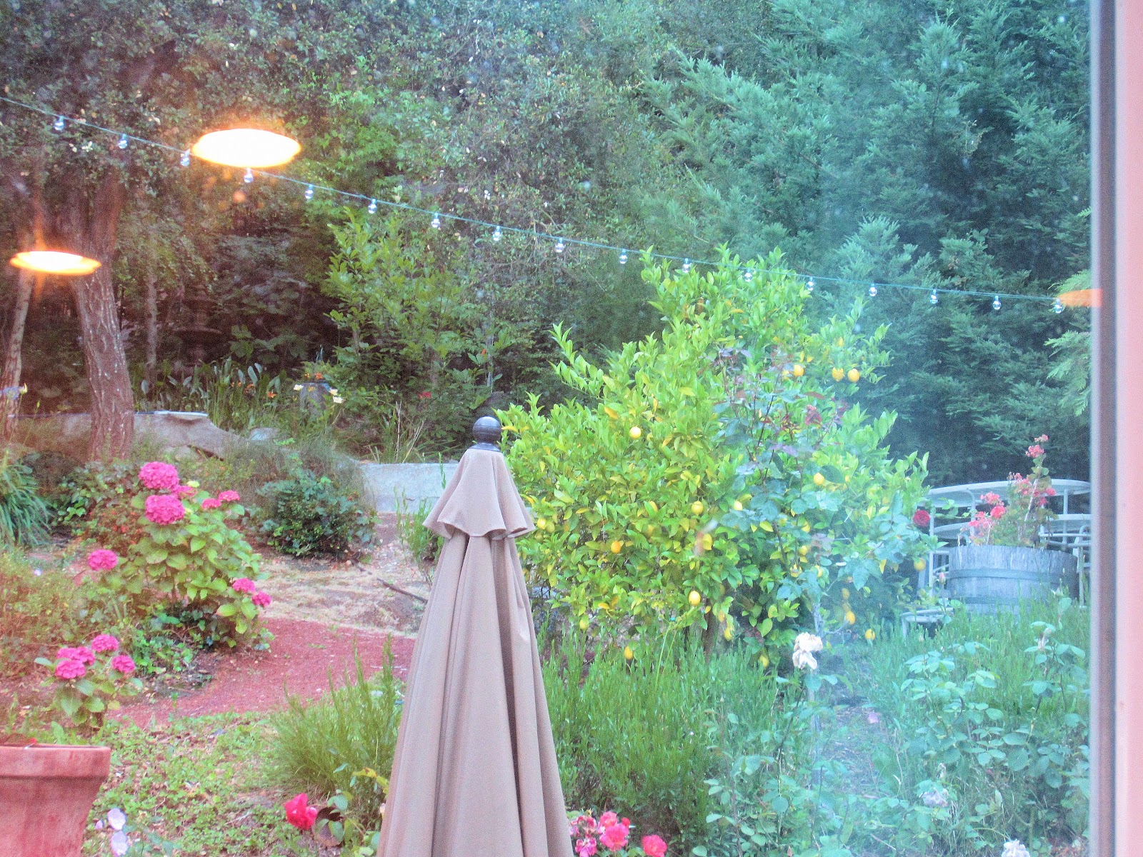 Sablet HOME - Your Home in Provence: When Life Gives You Lemons .......