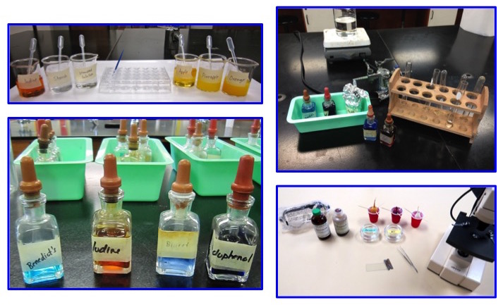 Amy Brown Science: Taking Students to the Laboratory? How to Plan and ...