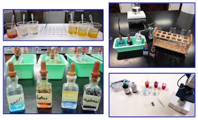 Amy Brown Science: Taking Students to the Laboratory? How to Plan and ...