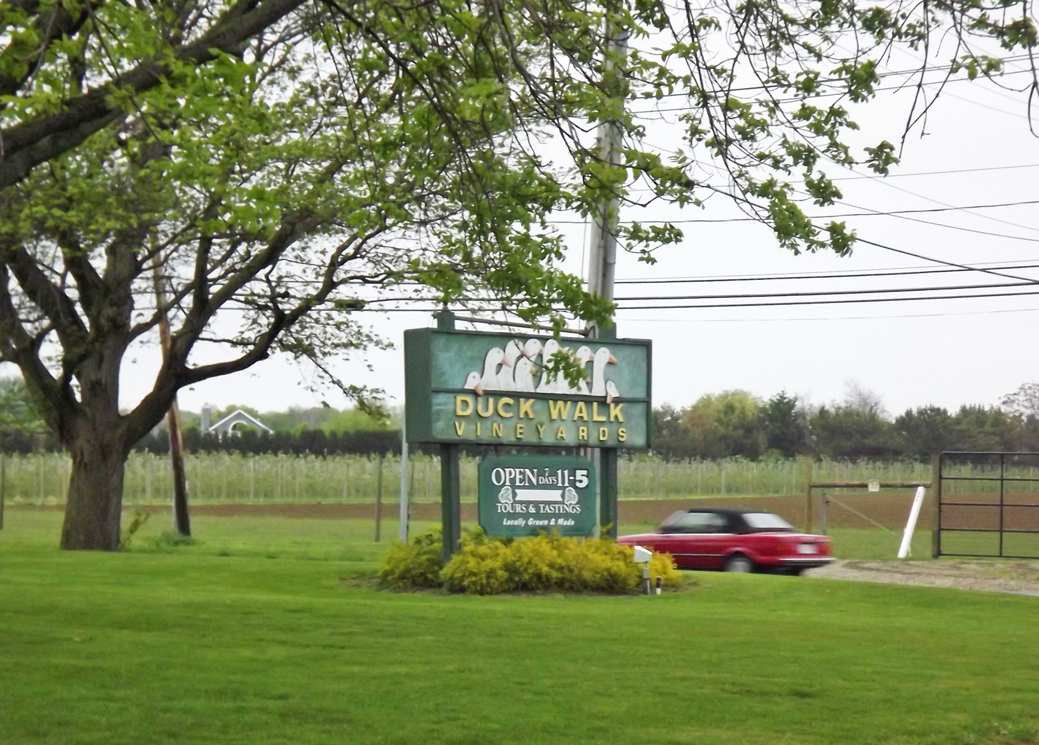 Wine and Spirits Travel: Sip and Taste From Montauk to the Hamptons ...