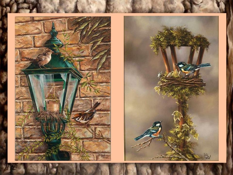 Soloillustratori: Michael Schutte