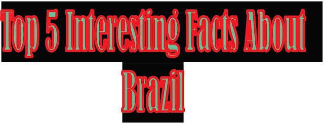 The Top 5 Interesting Facts of Brazil