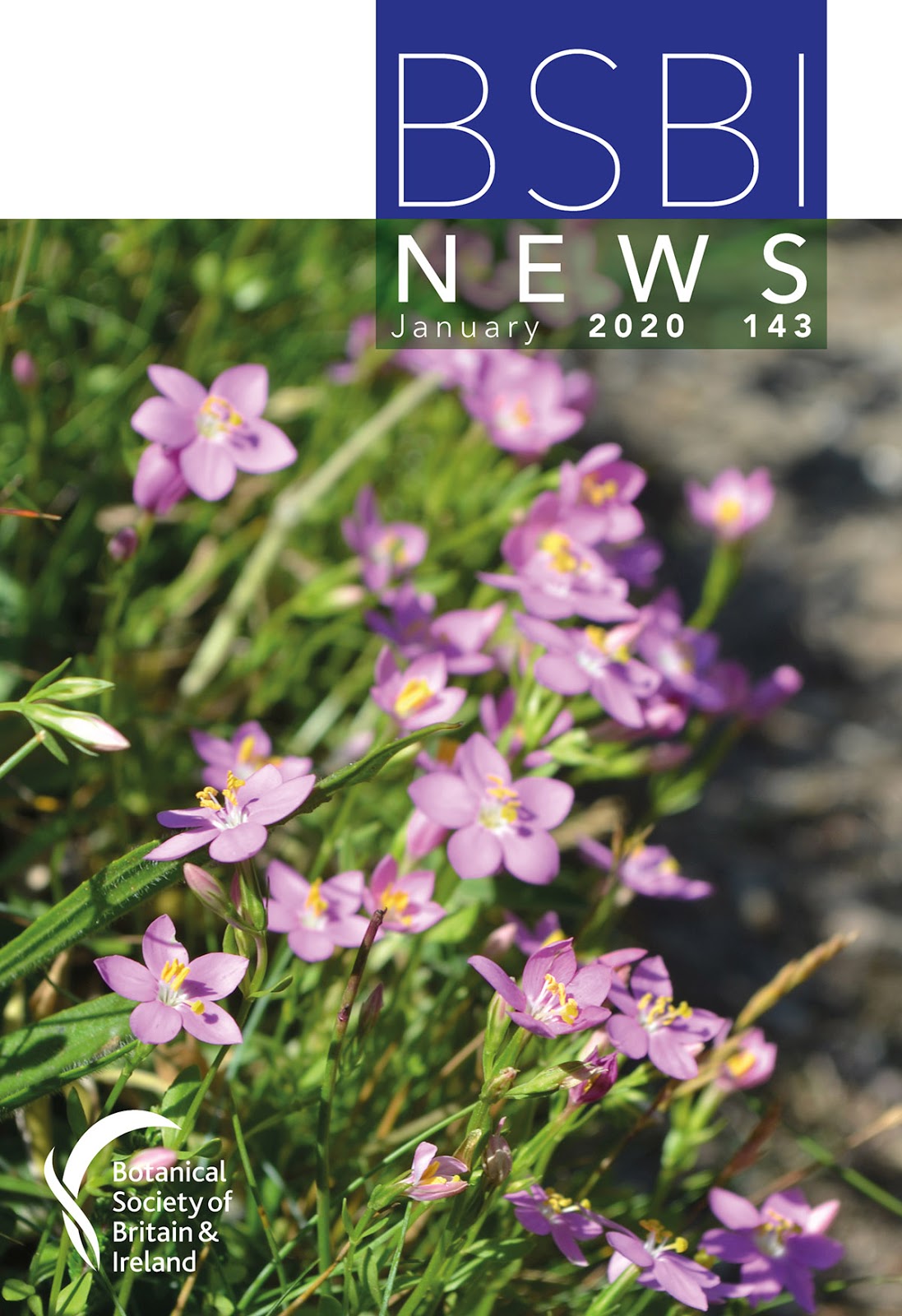 BSBI News & Views: BSBI News: January issue is out!