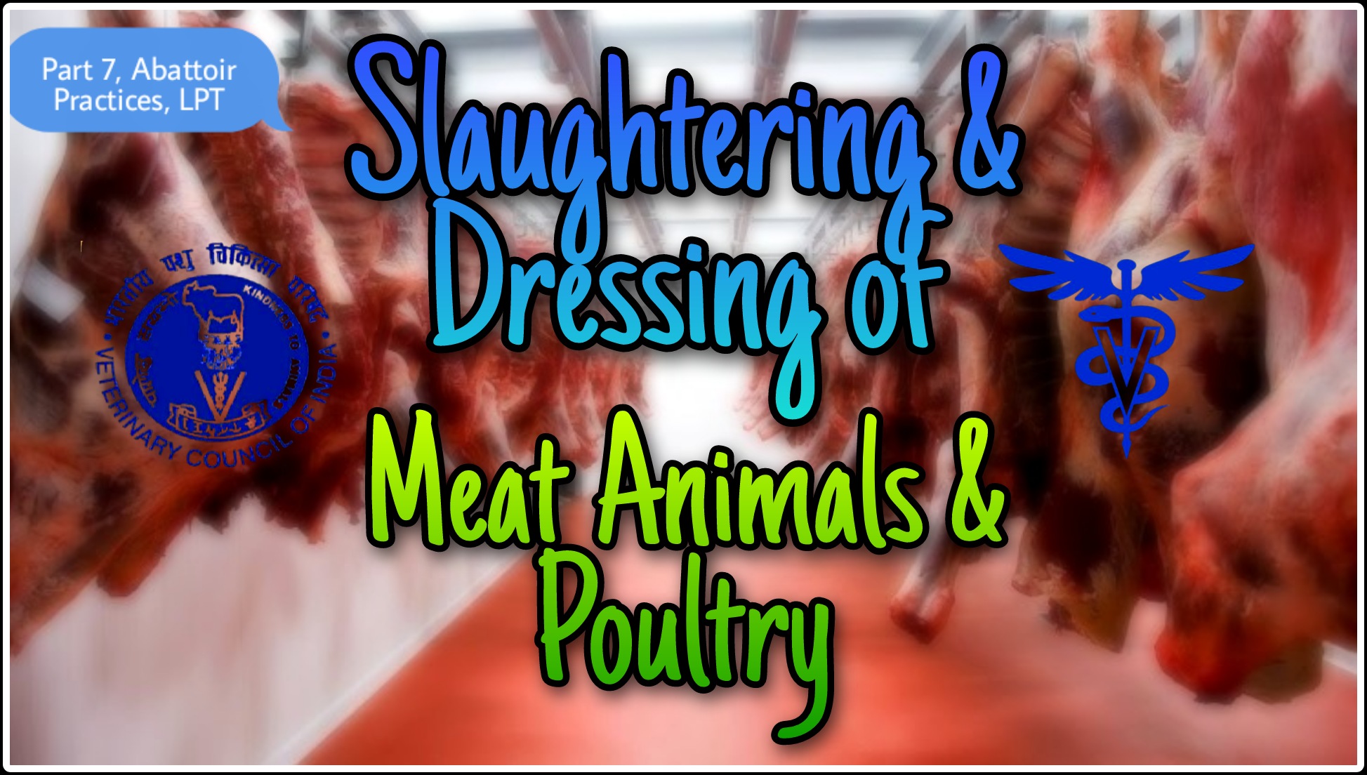 Slaughtering and Dressing of Meat Animals including Poultry.