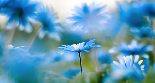 Vientos de Consciencia: Impecable. ¿Qué significa eso?