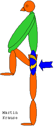 FISIOFACTS: Testes e quadril/SacroIlíaca (continuação parte 2)