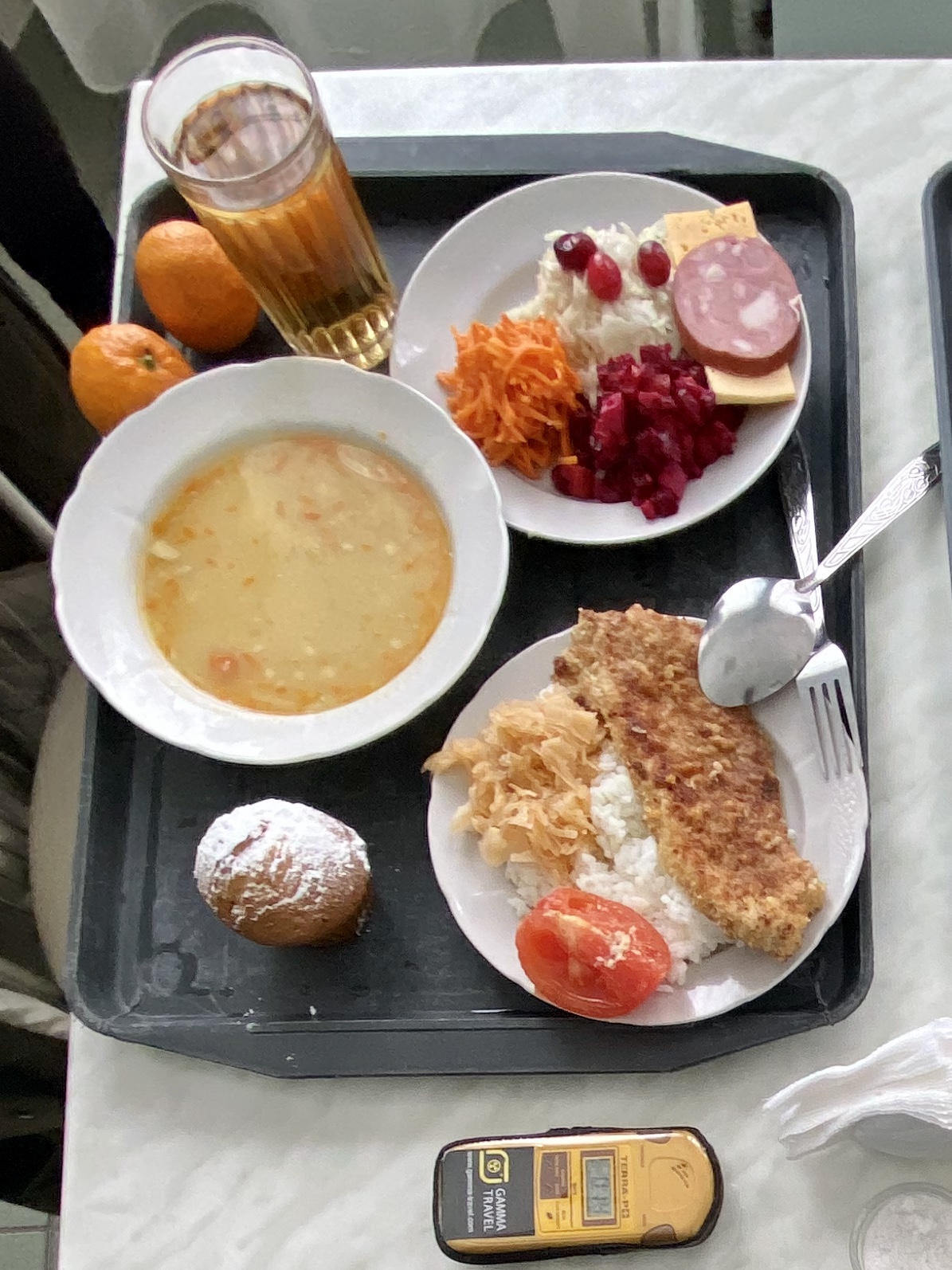 Me amarro em viajar: COMO VISITAR CHERNOBYL E PRIPYAT?