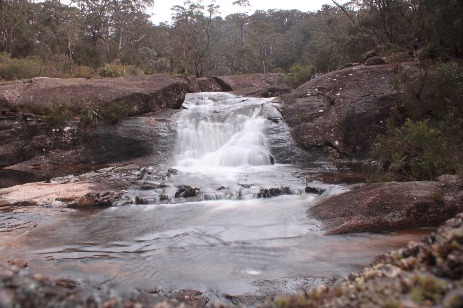 its just my life: Basket Swamp National Park