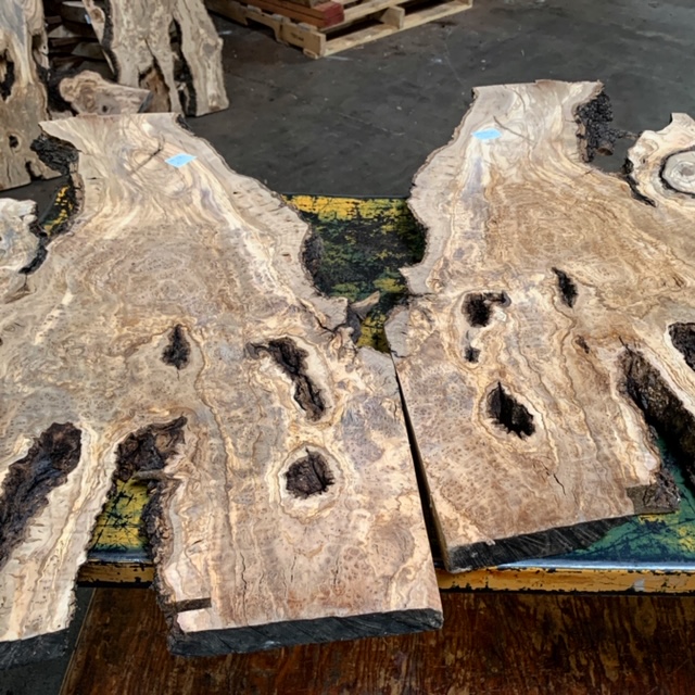 Tropical Exotic Hardwoods: All Figured Olive slabs NOW ONLINE!
