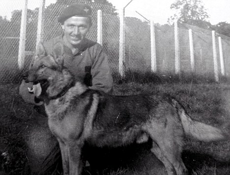 NUNCAJAMAS COCKER: BING, PERRO PARACAIDISTA EN NORMANDÍA