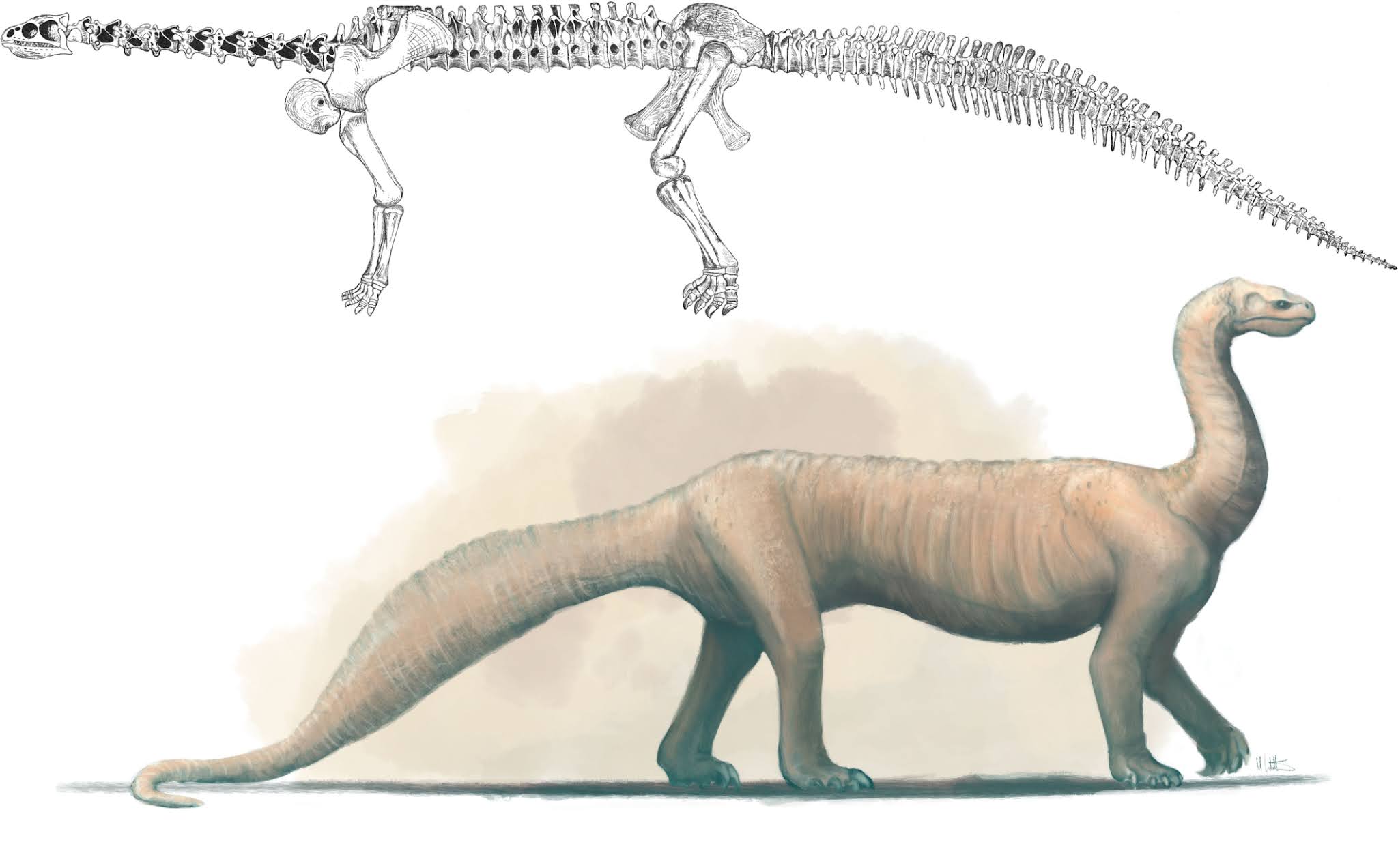 Mark P. Witton's Blog: The long, winding road to the first sauropod ...
