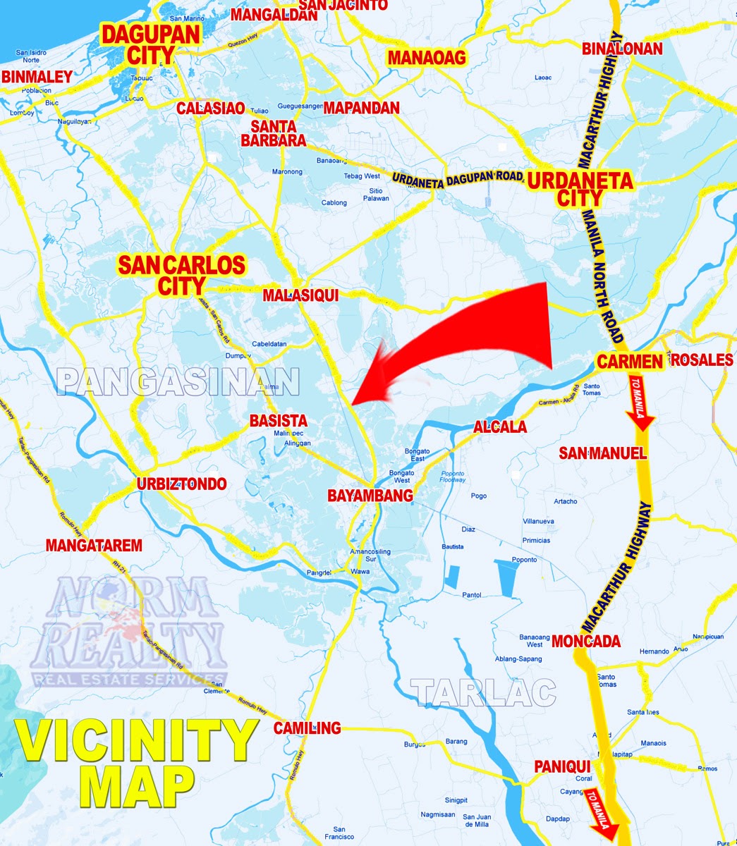 NormRealty Dagupan: SOLD: Pangasinan Malasiqui 5318-sqm Prime Land ...