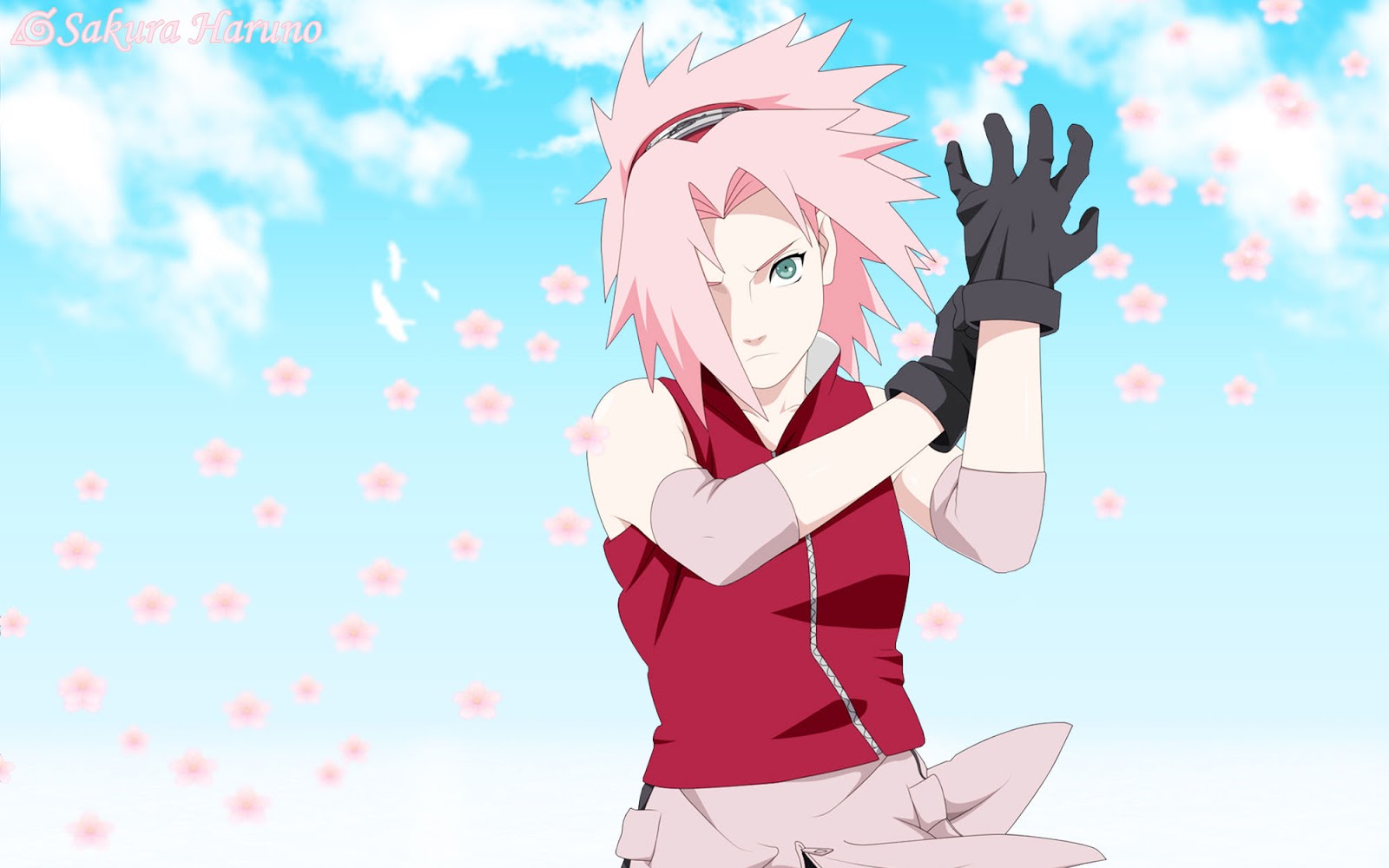 Naruto Character : Foto Sakura - Animasi dan Movie
