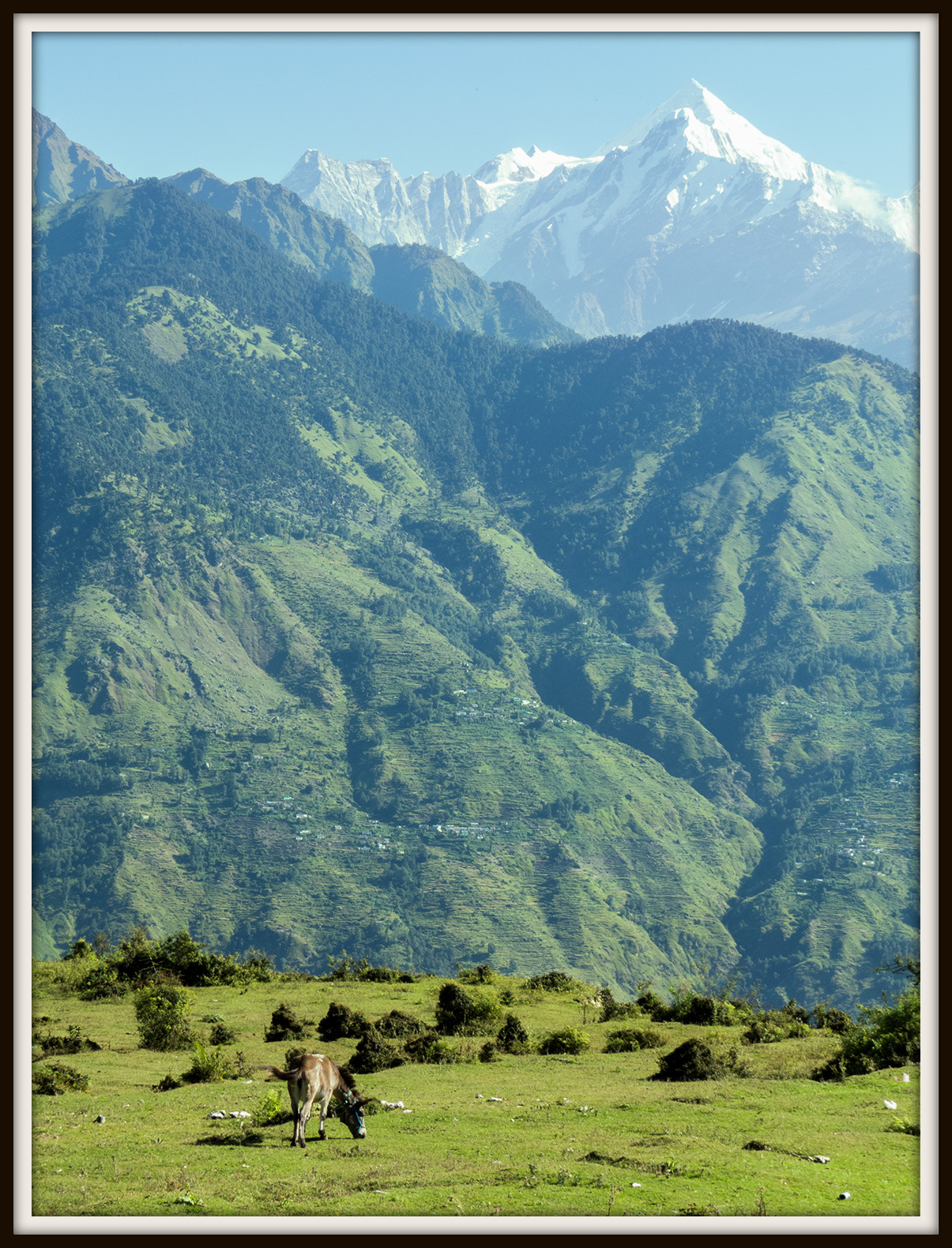 The Traveller: Munsiyari, Kohinoor of Kumaon