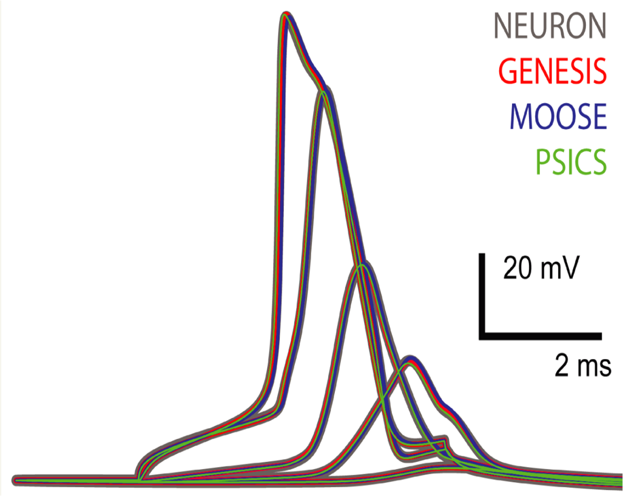The Cellular Scale: How to Build a Neuron: step 3