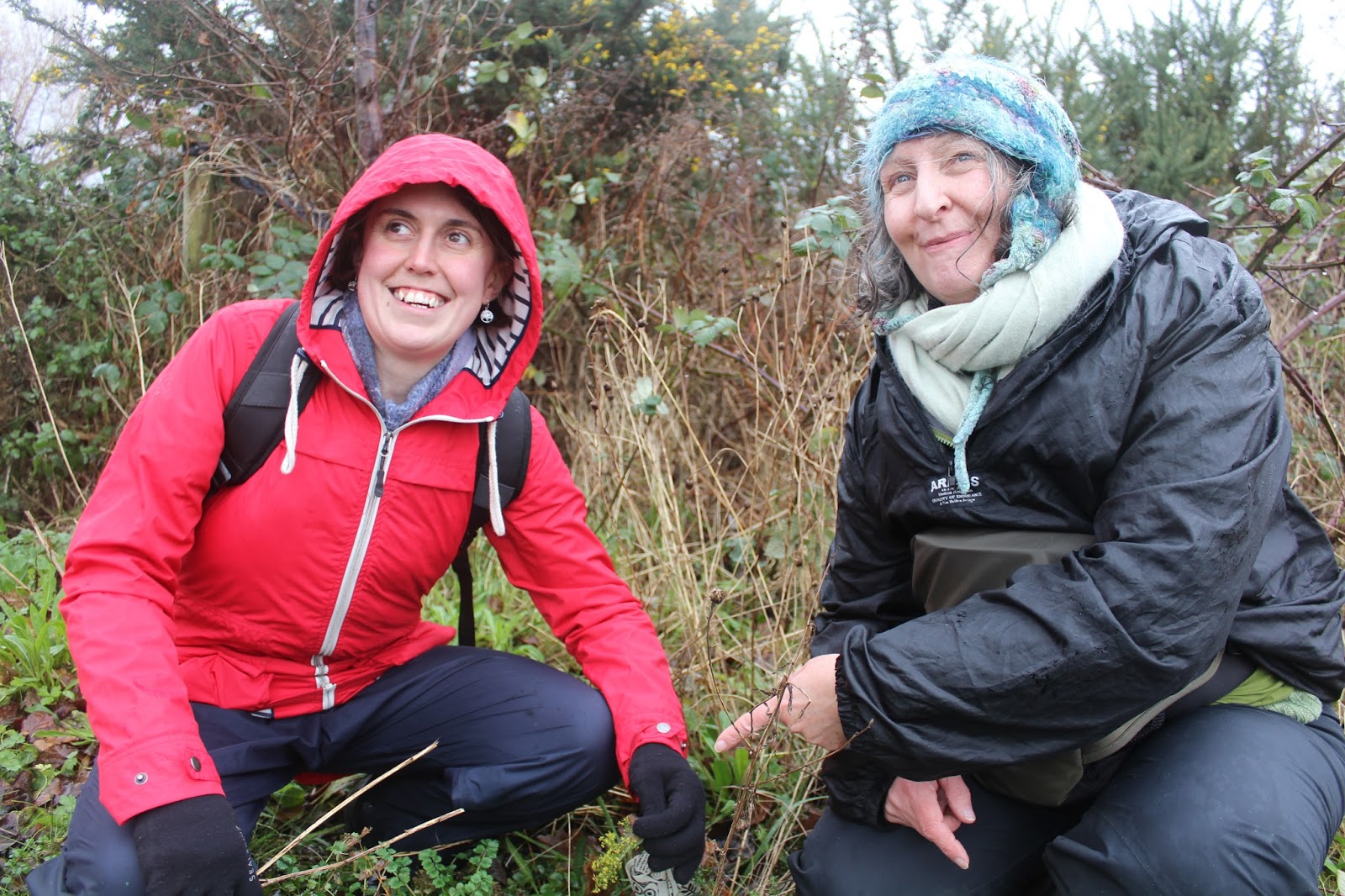 BSBI News & Views: BSBI President and New Year Plant Hunt Support Team ...