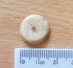 Beyond the Baths: 2019