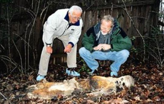 Jungle Red Writers: Jefferson Bass-The Breaking Point