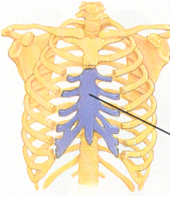 learn nursing: chest injuries,Symptoms and first aid for chest injuries