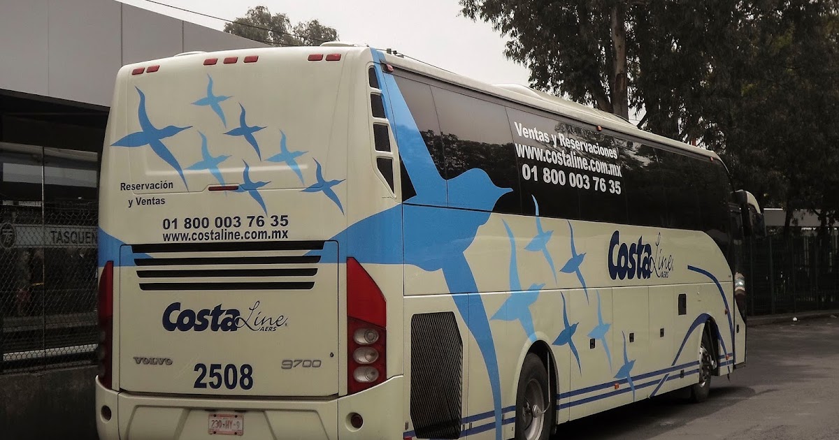 MAXIBUSES: COSTA LINE
