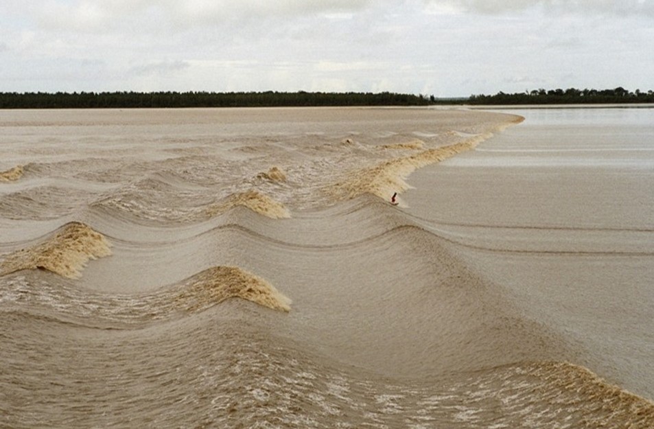 ROSA DOS VENTOS: -" A Pororoca do surpreendente rio Amazonas"