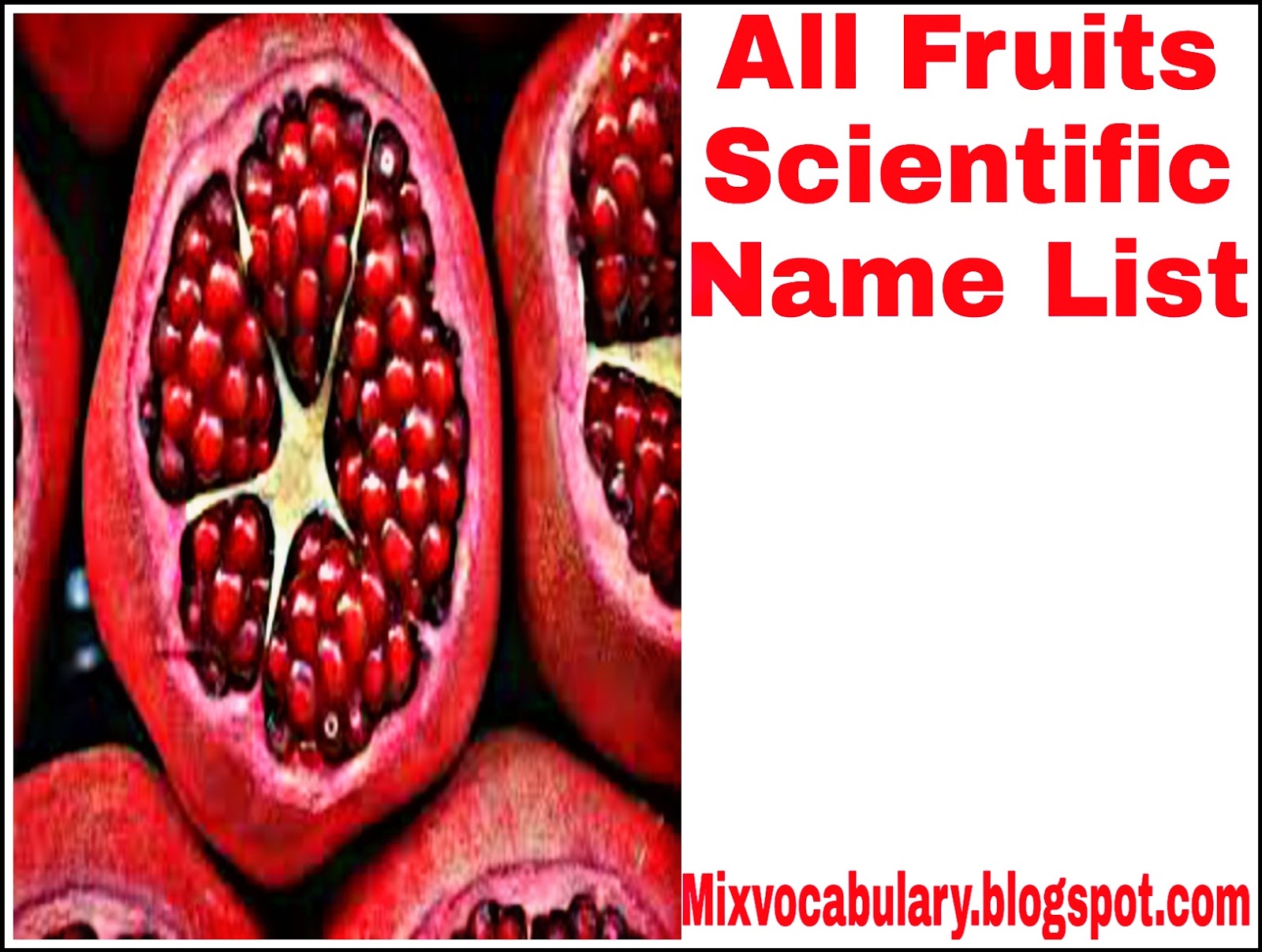 All Fruits Scientific Name List